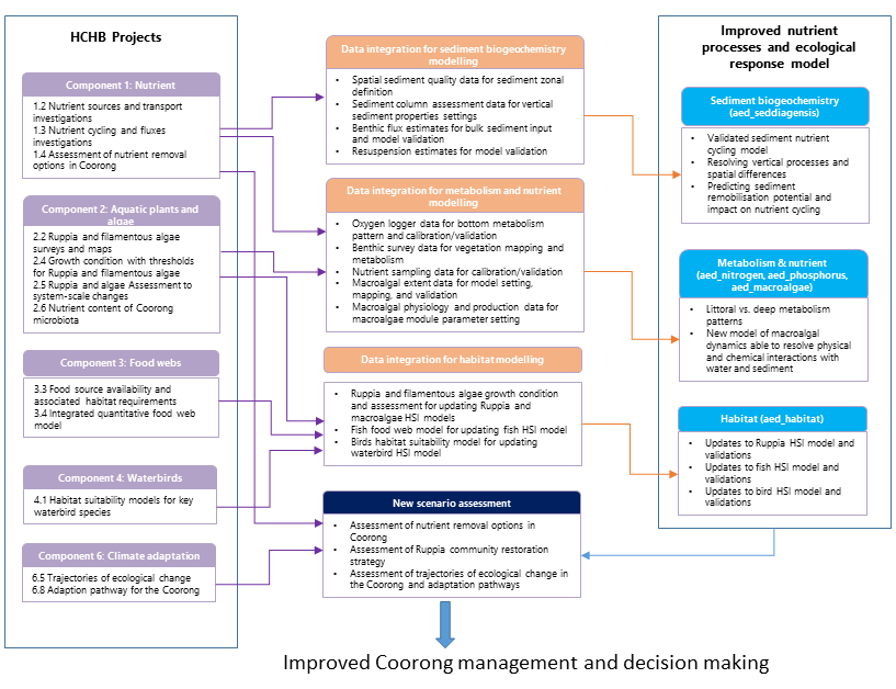 1 Introduction The Coorong Dynamics Model